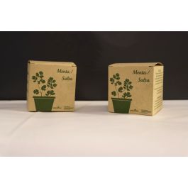 Vaso de semear Salsa